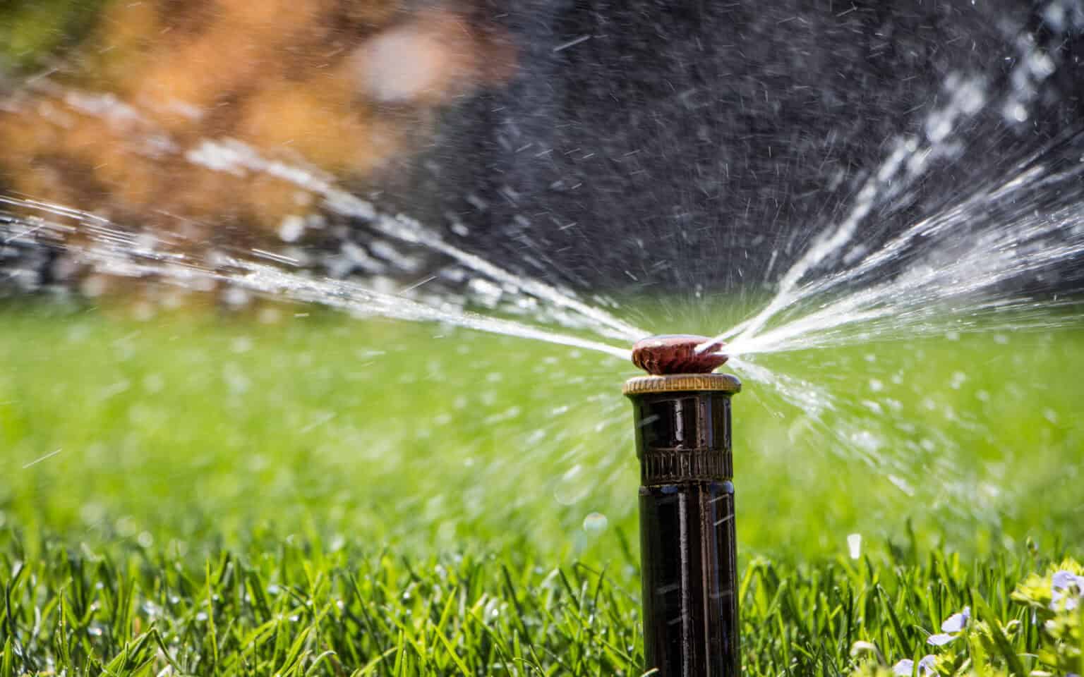 Repair or Replace? Your Guide to a Healthy Sprinkler System