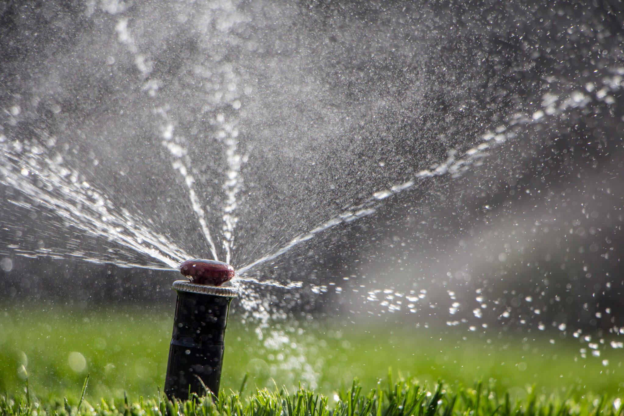 Protect Your Irrigation System This Winter in Austin | South Austin ...