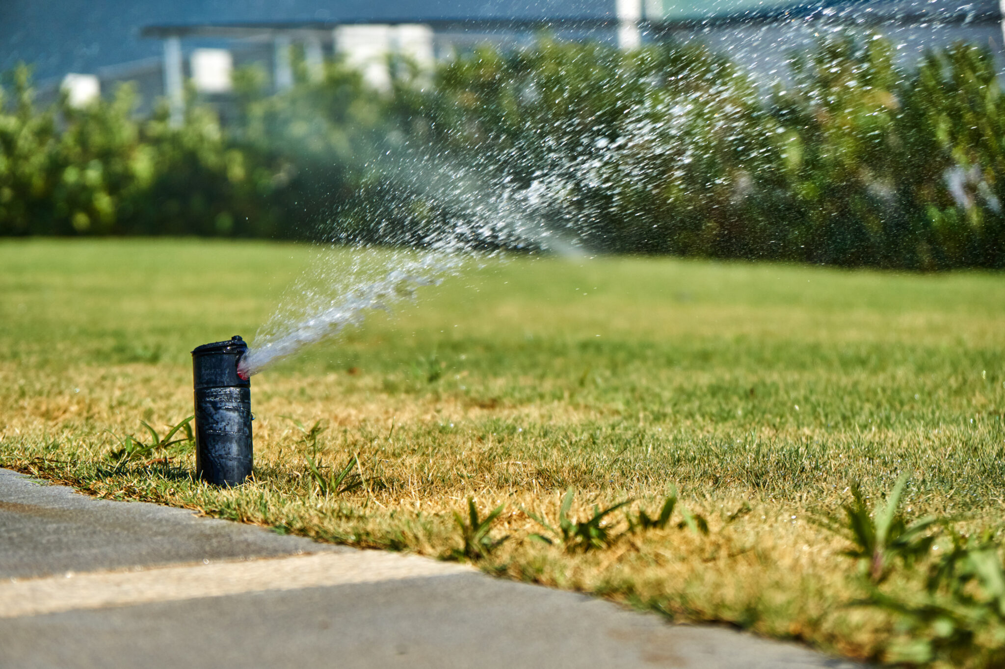 4 Common Problems with Sprinkler Controllers and How to Fix Them ...